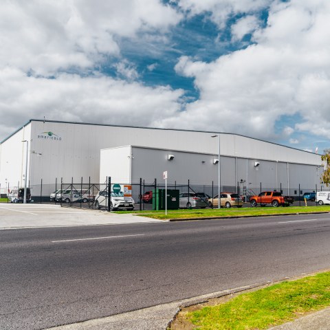 Americold, Industrial Site Development - Project | CKL NZ